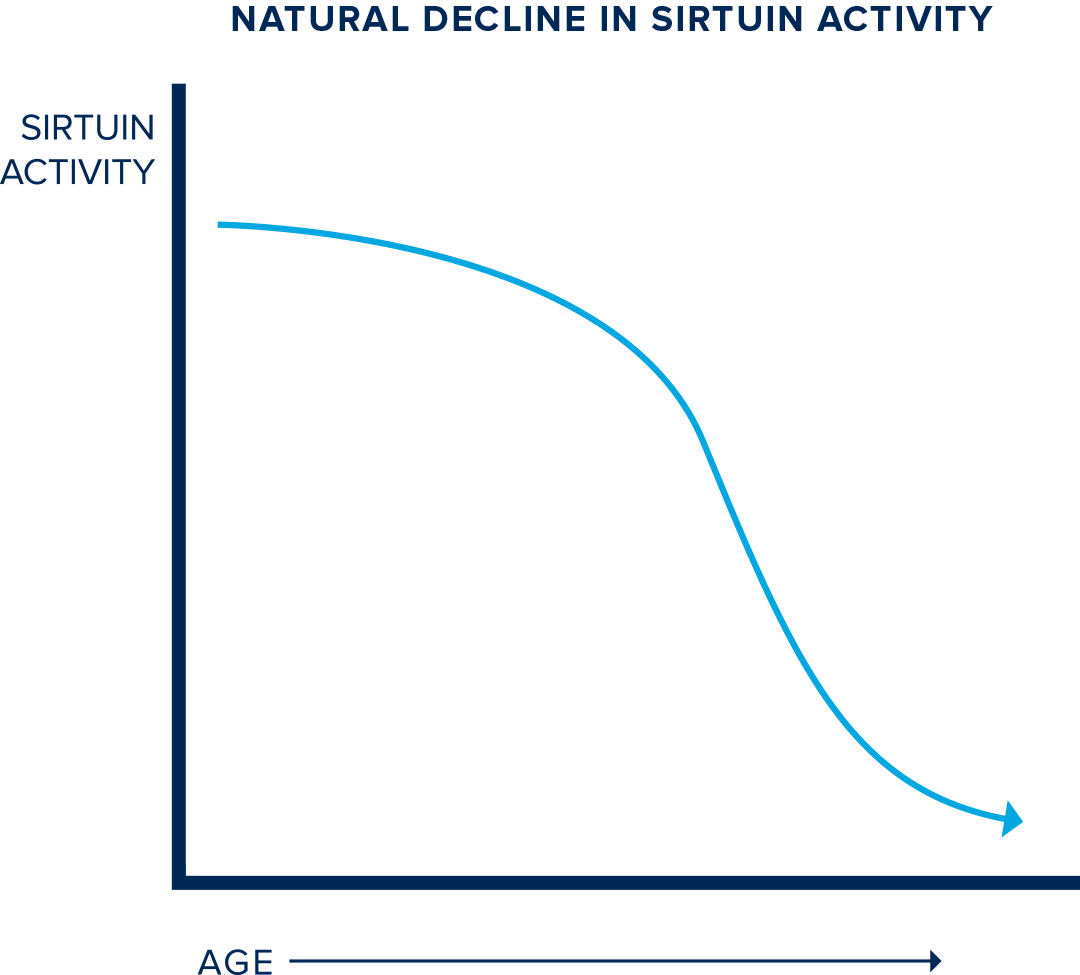 NAD Synergiser - Biohack NZ